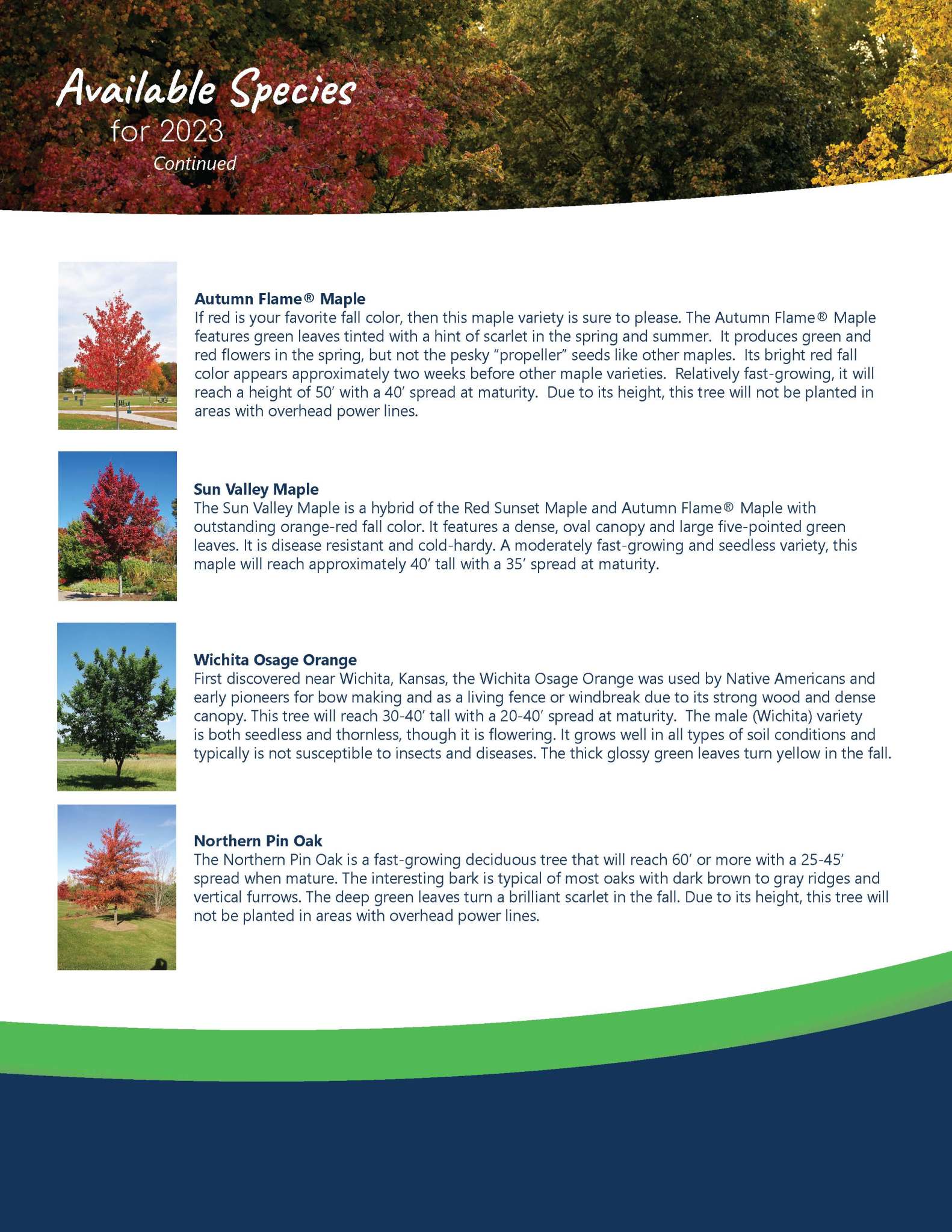 Free Tree Planting Program (UPDATE 2/28/23: There are a few trees still ...