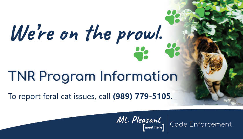 TNR Program to Resume – City of Mt.Pleasant